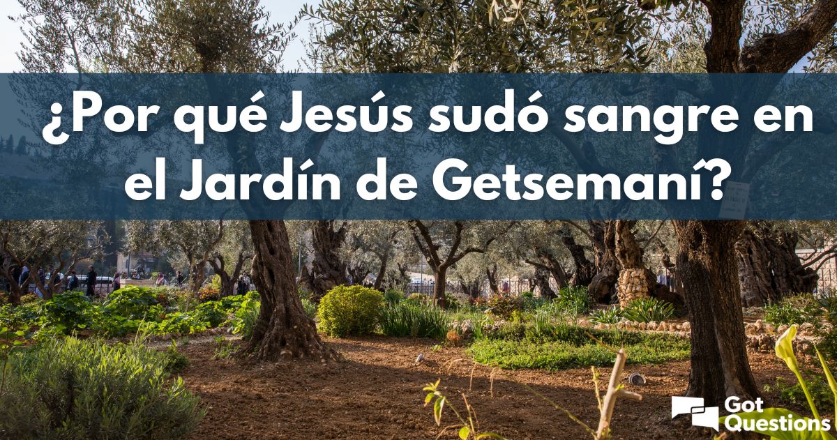 La Oración De Jesús En El Jardín De Getsemaní Por La Noche La