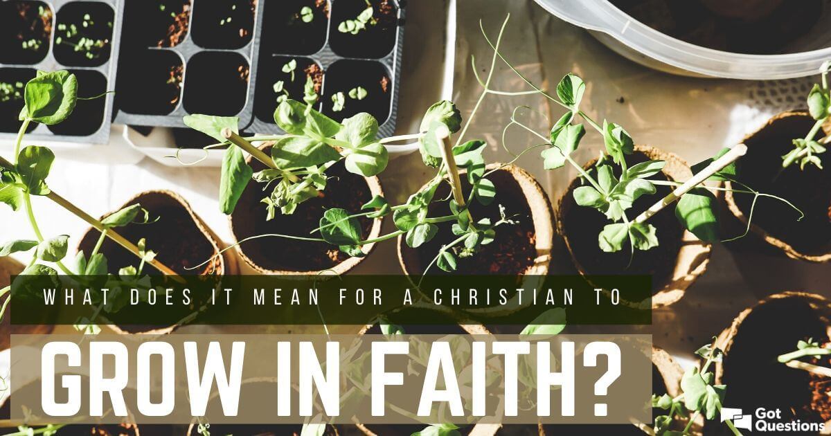What does it mean for a Christian to grow in faith? | GotQuestions.org
