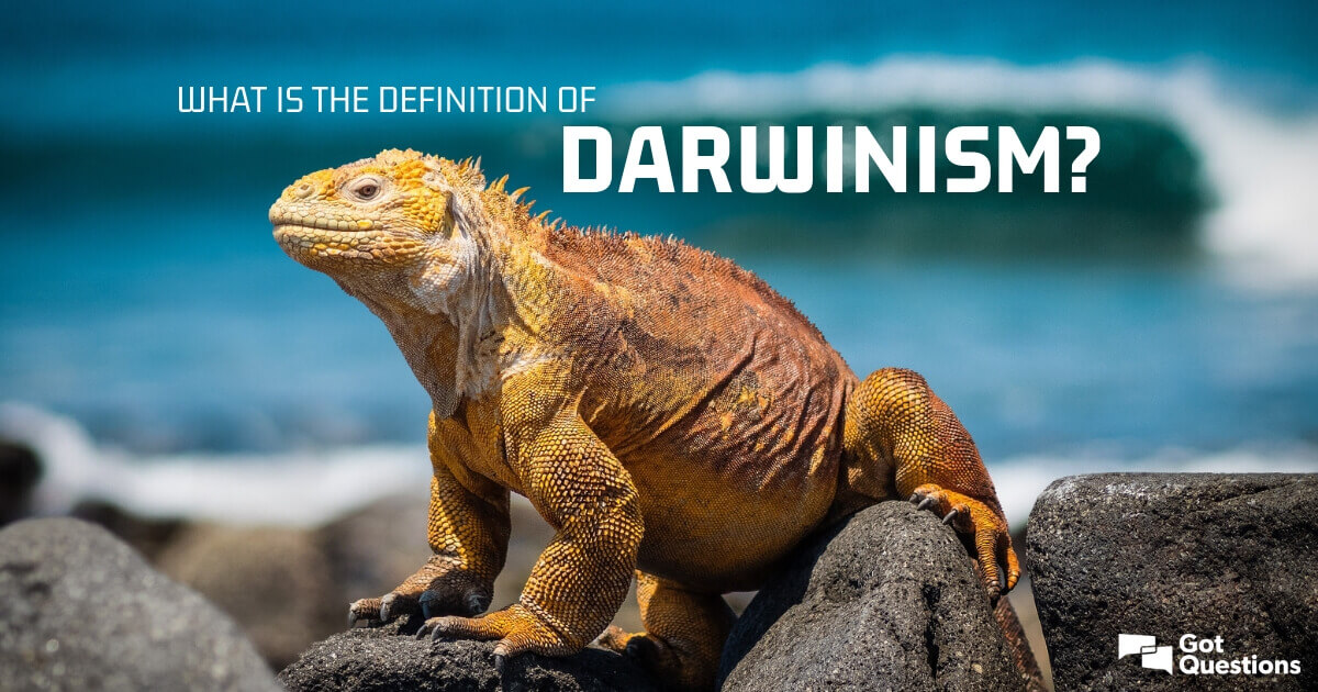 What is the definition of Darwinism? | GotQuestions.org