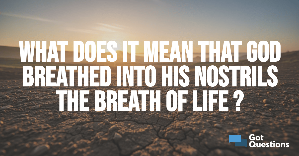 What does it mean that God breathed into his nostrils the breath of ...