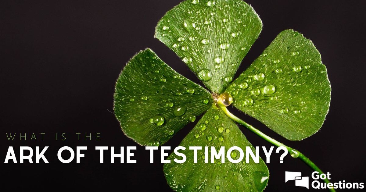 What is the ark of the testimony? | GotQuestions.org