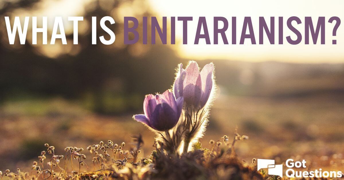 What is Binitarianism? Is Binitarianism biblical? | GotQuestions.org