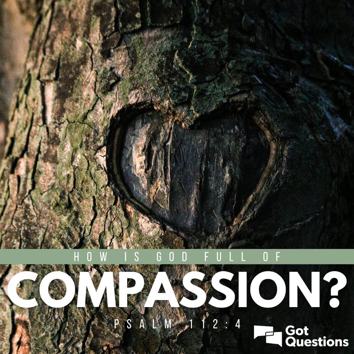 How is God full of compassion (Psalm 112:4)? | GotQuestions.org