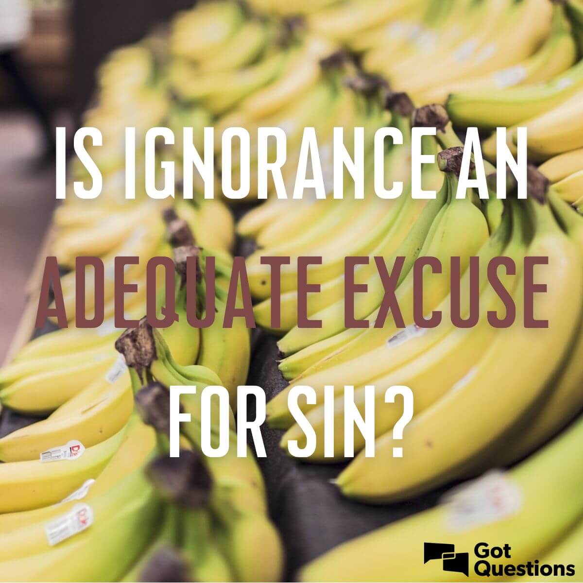 Is ignorance an adequate excuse for sin? | GotQuestions.org
