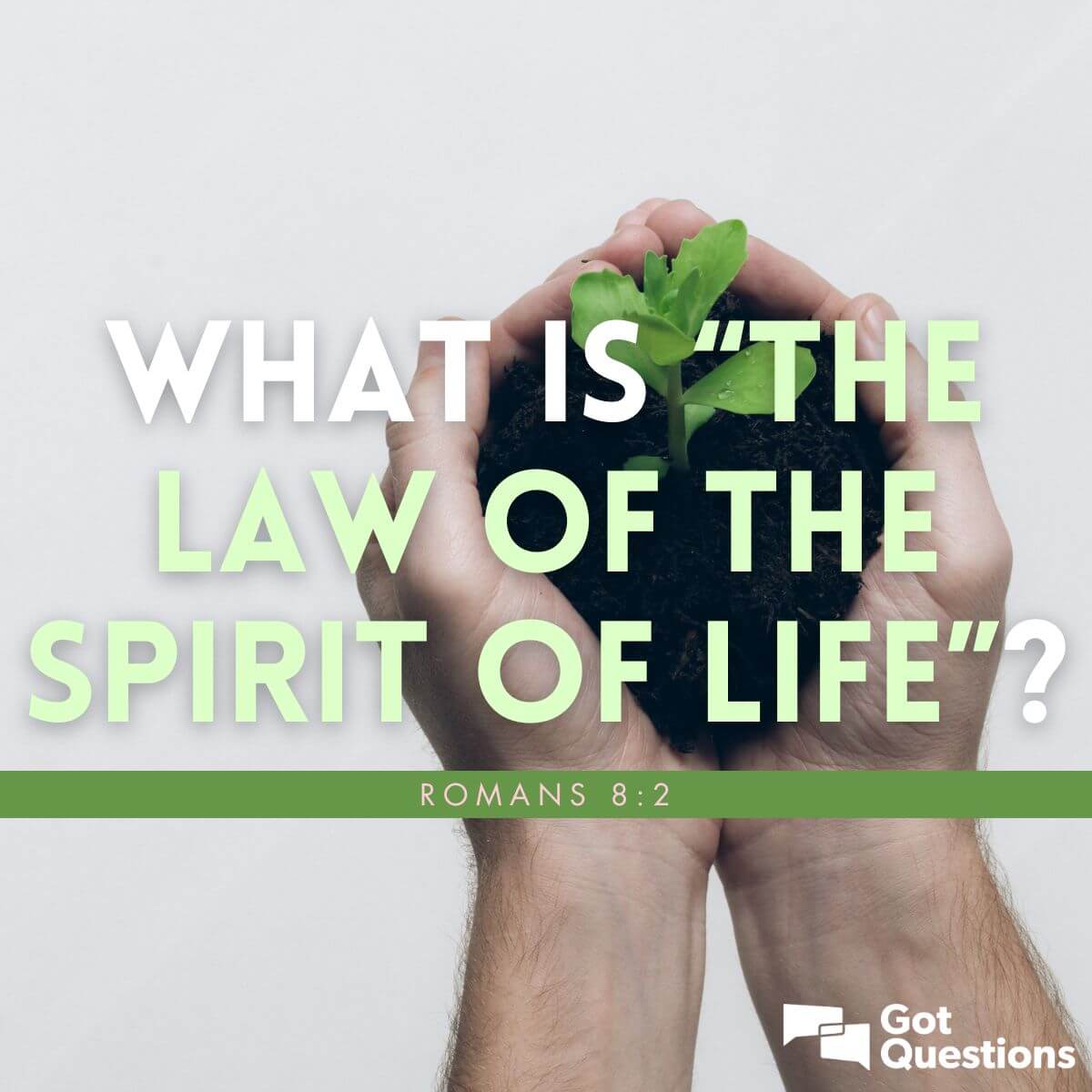 What is the law of the Spirit of life (Romans 8:2)? | GotQuestions.org