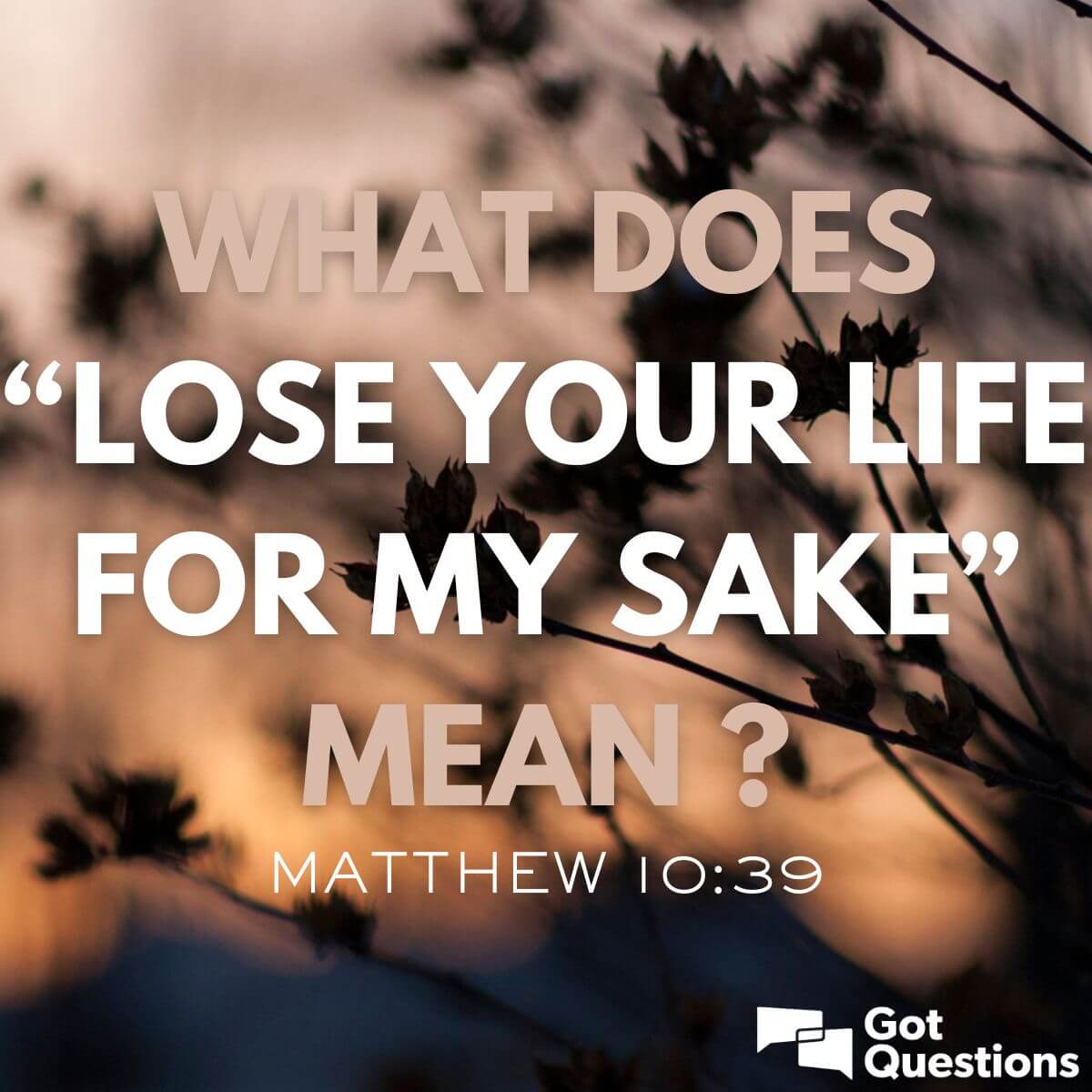 What does “lose your life for my sake” mean (Matthew 10:39 ...