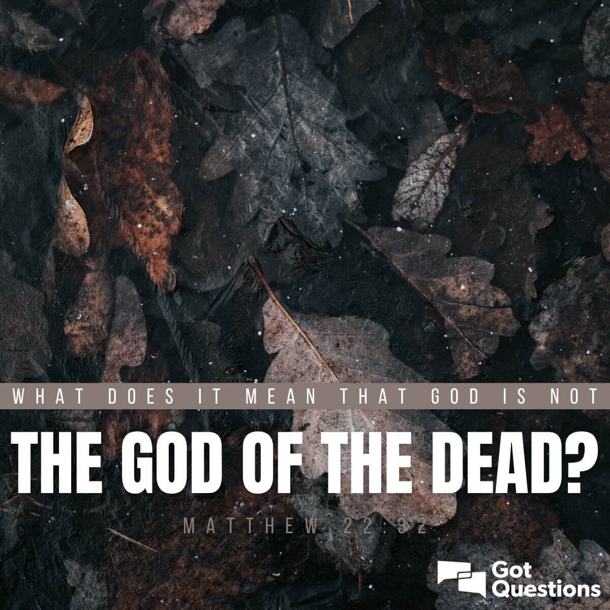 What does it mean that God is not the God of the dead (Matthew 22:32 ...