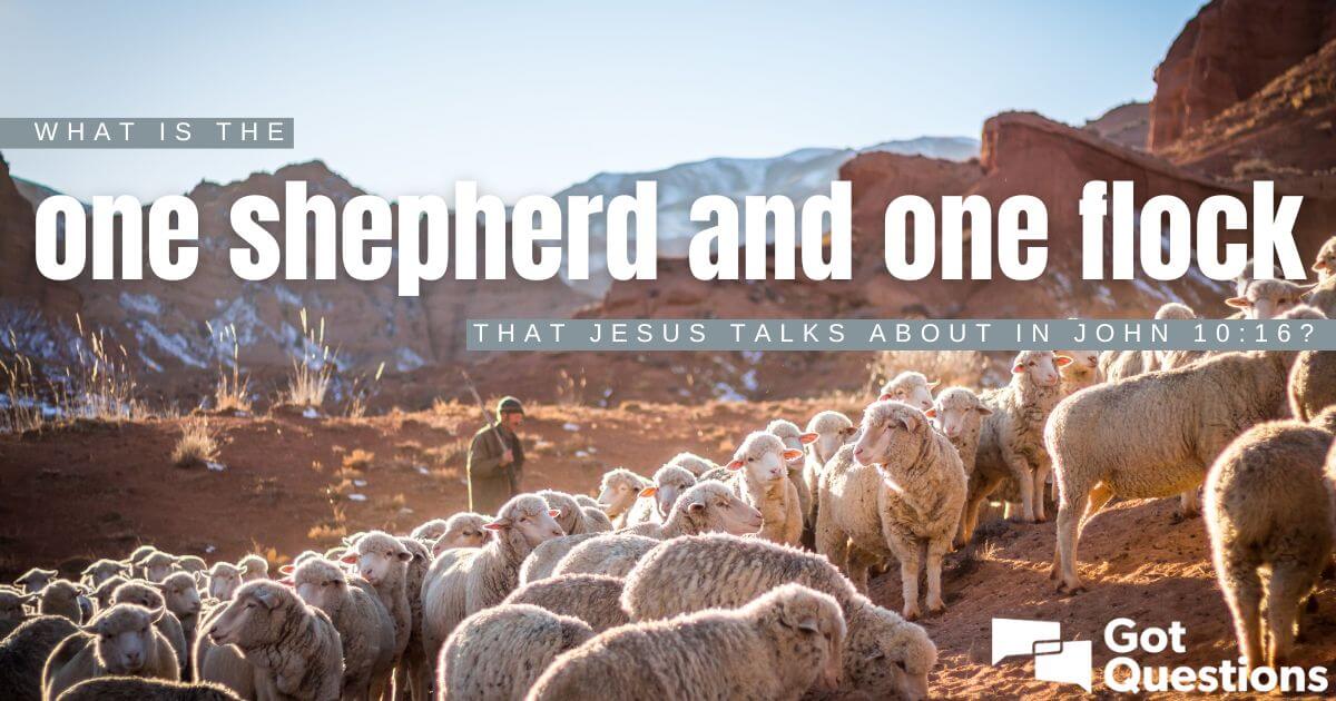 What is the one shepherd and one flock that Jesus talks about in John ...