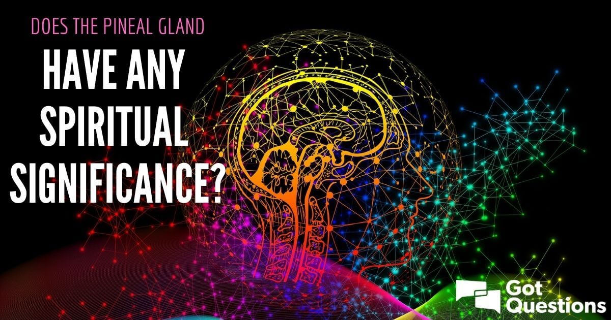 Does the pineal gland have any spiritual significance? | GotQuestions.org