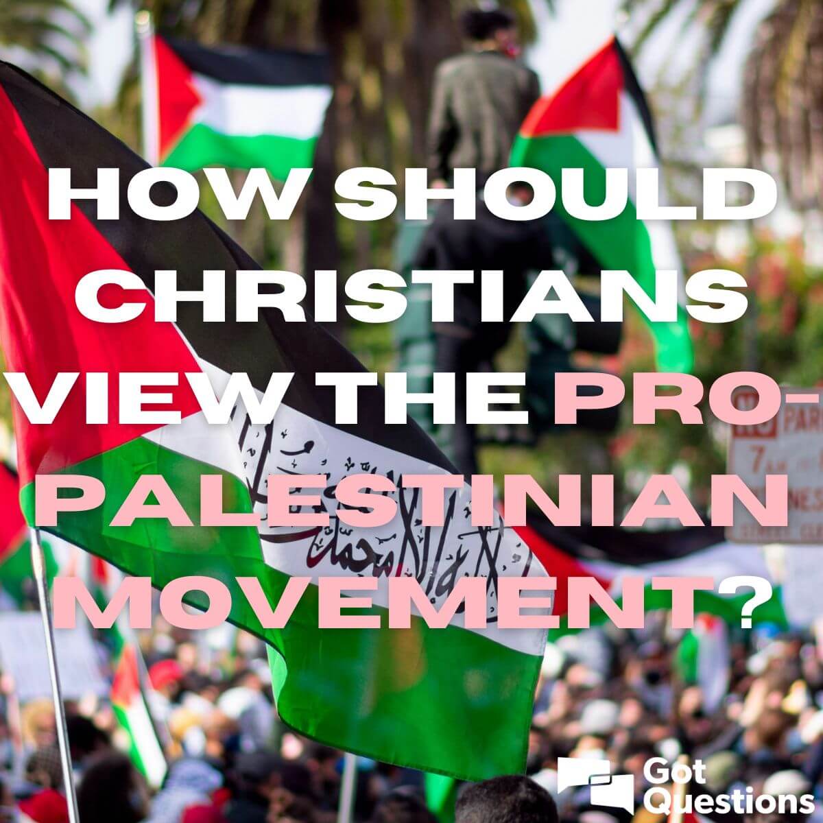 How should Christians view the pro-Palestinian movement? | GotQuestions.org