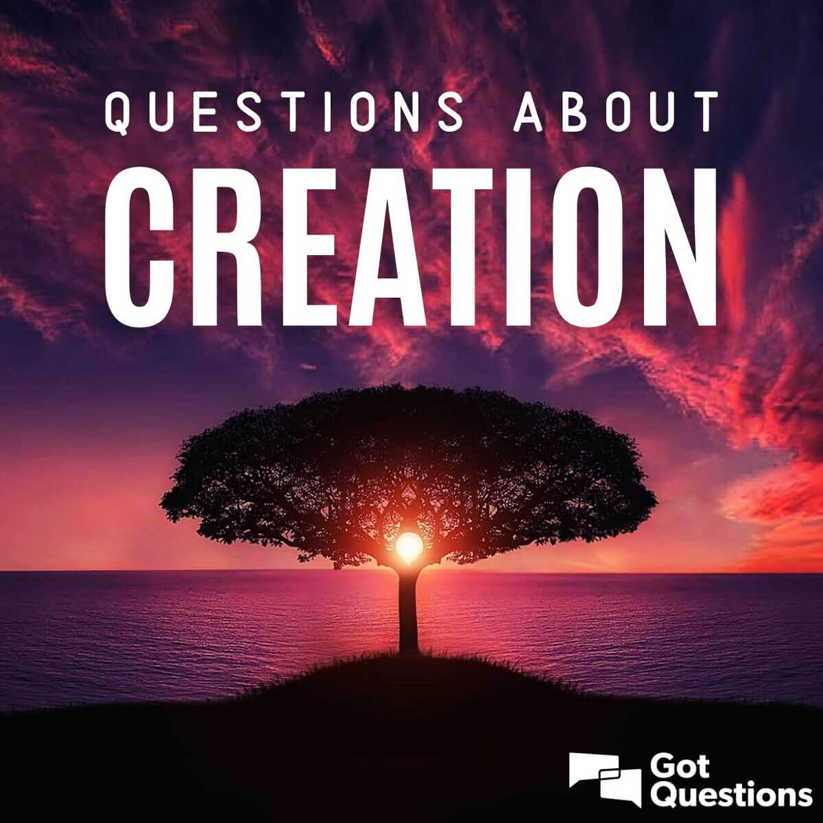 Questions about Creation (All) | GotQuestions.org