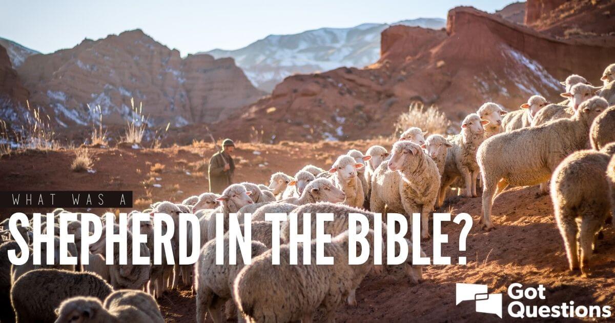 What was a shepherd in the Bible? | GotQuestions.org