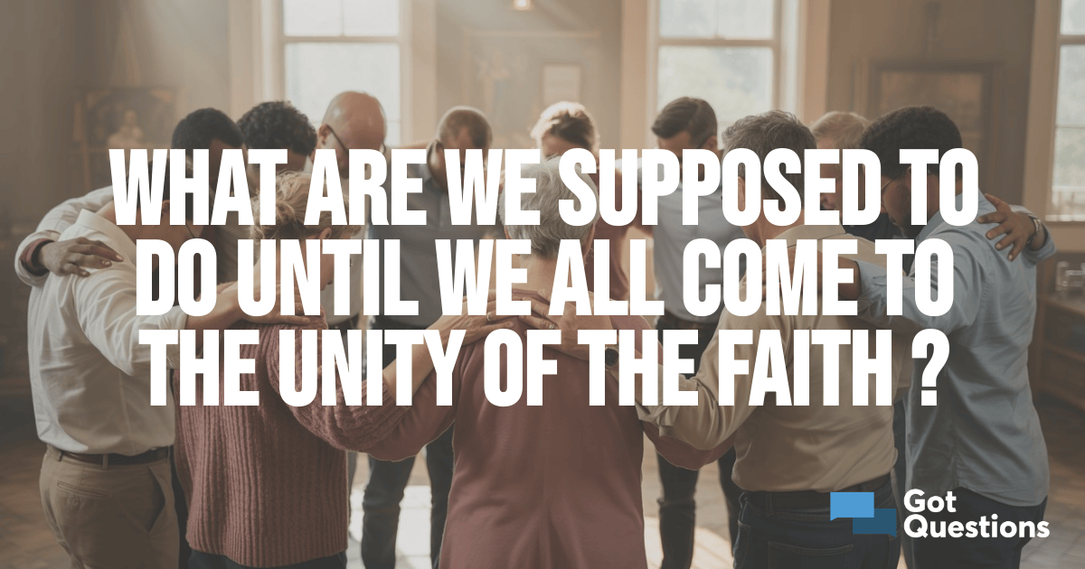 What are we supposed to do until we all come to the unity of the faith ...